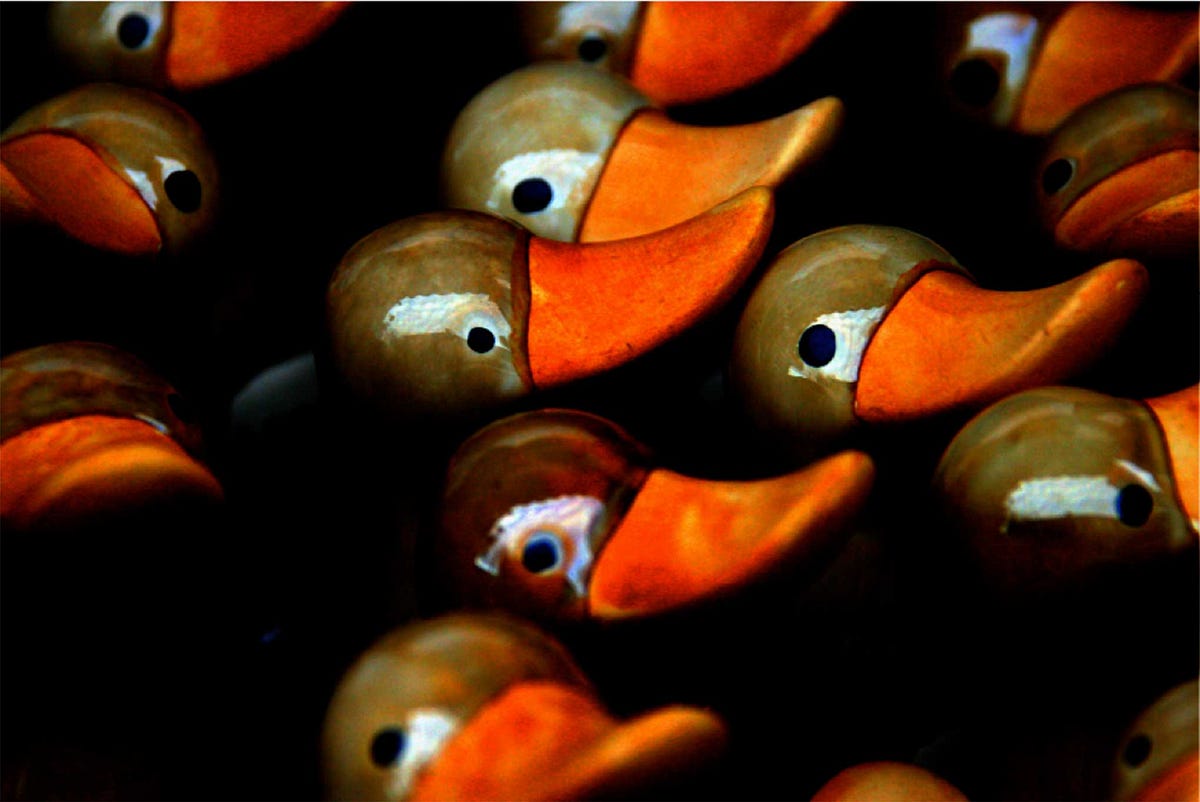 “Yet Another Dashboard”: How Teams Are Getting Crushed & Killing Morale ...