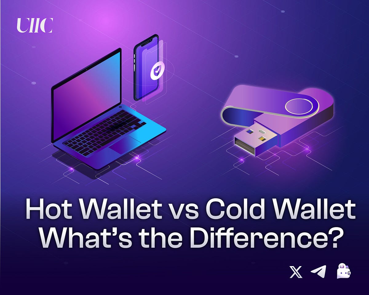 Differences Between Hot Wallet & Cold Wallet | by UIIC_Official | Aug ...