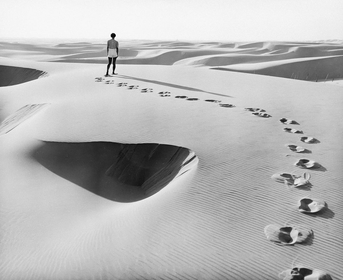 While In Egypt - Scuzzbucket - Medium