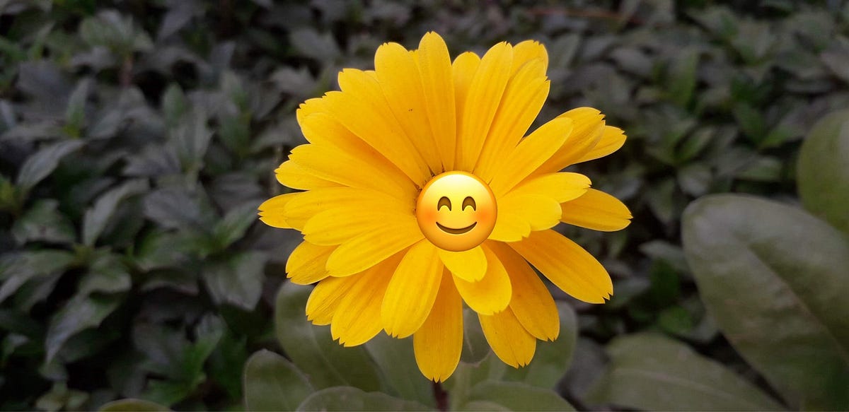 Brief Meeting (Poem) - Mid-Knight Falls - Medium