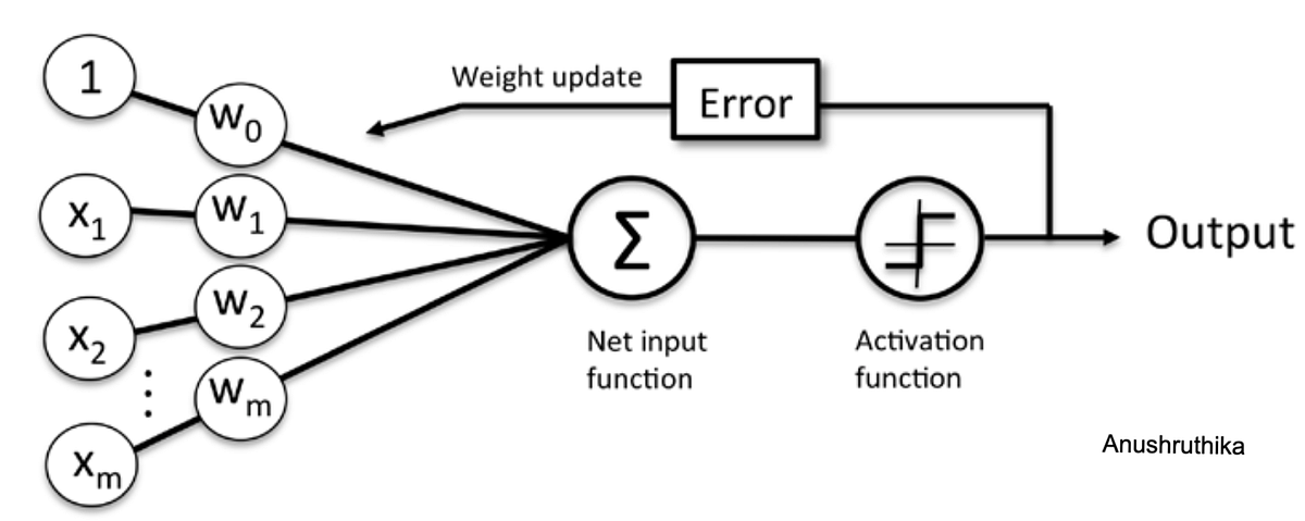 Inside the Brain of a Perceptron: How Machines Make Decisions | by ...