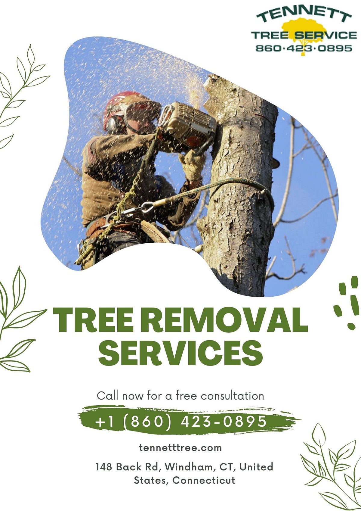 Tips for Finding Affordable Tree Removal Services in CT - Tennett Tree ...