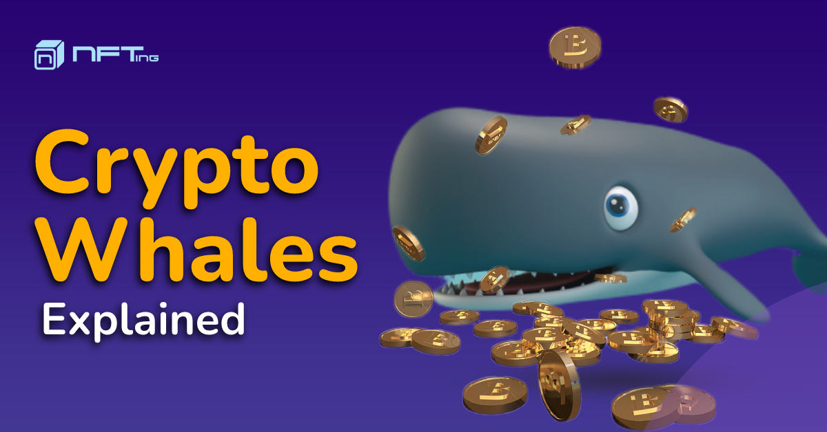 What Are Crypto Whales. Crypto whales are those who hold large… | by NFTing | Medium