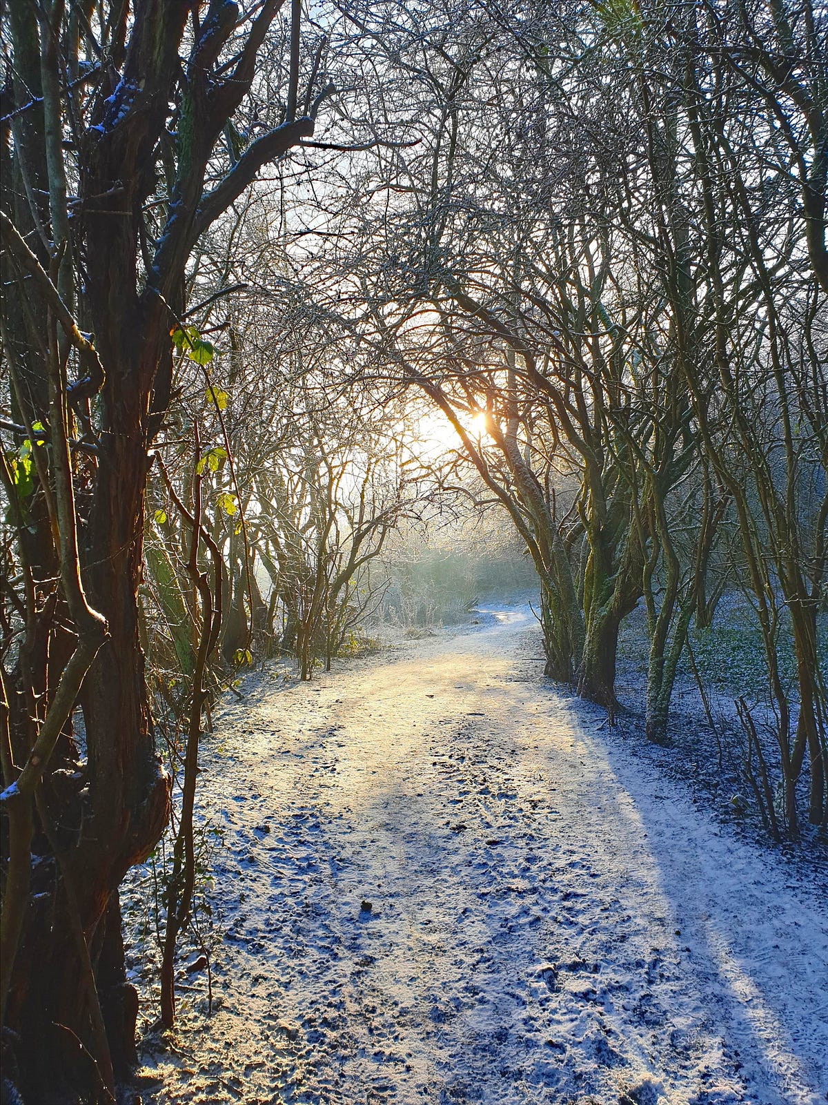 A boring guide to going outside. If you were asked to come up with a ...