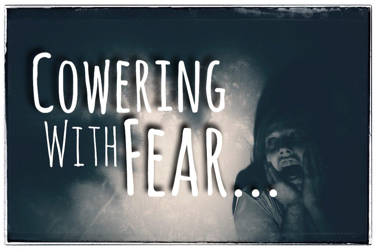 Cowering With Fear. All too often the word fear is… | by shelbyhoeing ...