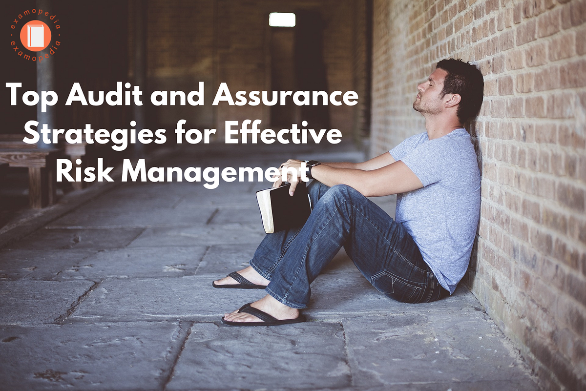 Top Audit and Assurance Strategies for Effective Risk Management - Raza Ali - Medium