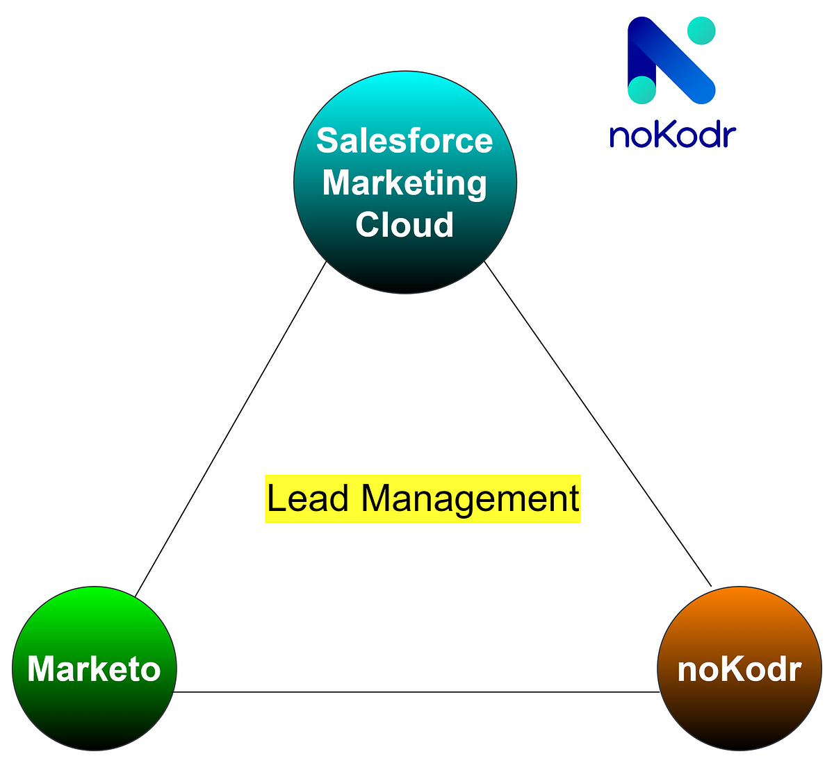 Working Smart With Salesforce A Fun Guide To Lead Management By Nokodr Medium