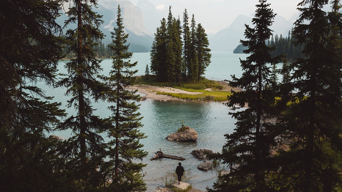 3 Simple Steps to Taking a Great Photo | by sam morrison | Medium