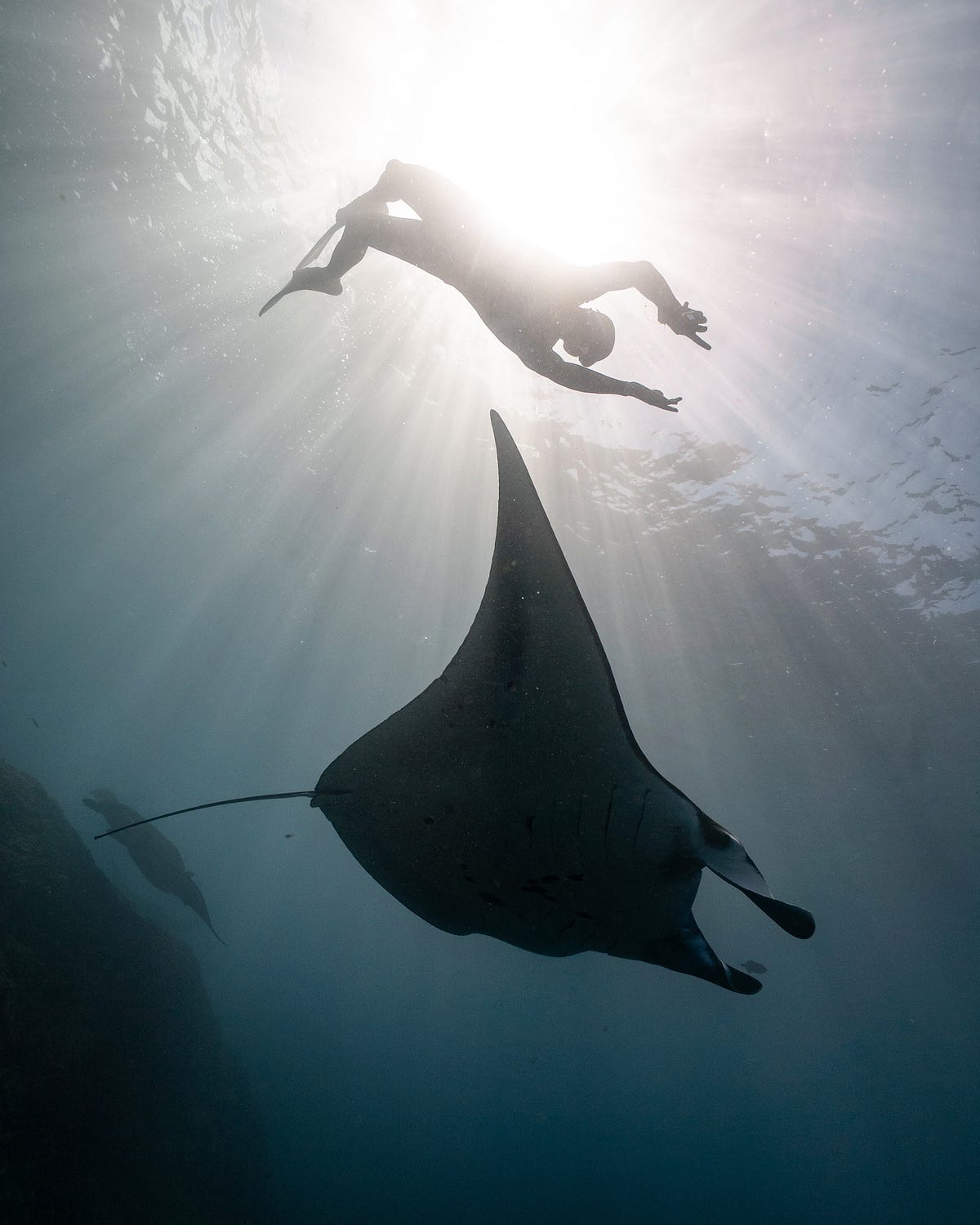 Stingray City Tour Grand Cayman: An Unforgettable Experience | by ...