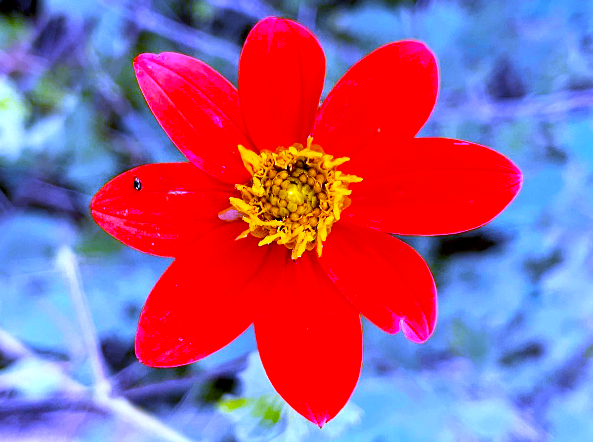with you. 4 passionate spiritual love poems… | by Angelica Olson ...