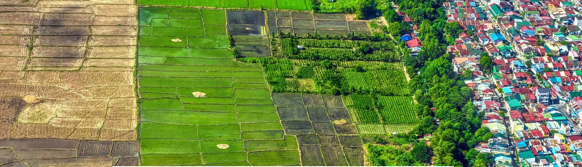 Is Urbanization a Threat or an Opportunity for Agriculture? | by ...