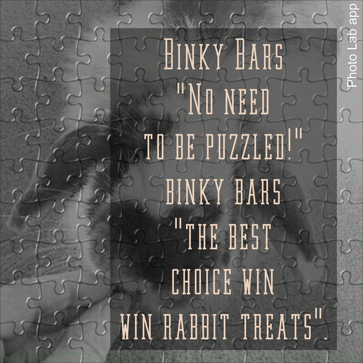 #binkybars #rabbit #treat | by Binky Bars Ltd - about.me/BinkyBars | Medium