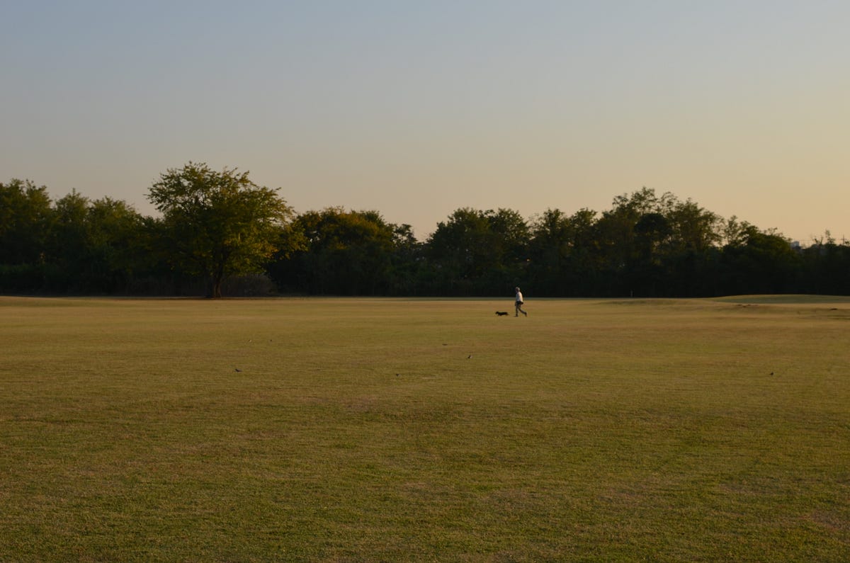 Emillyn’s story(Brazil and Japan, the shape of society)③ | by The Caleb ...