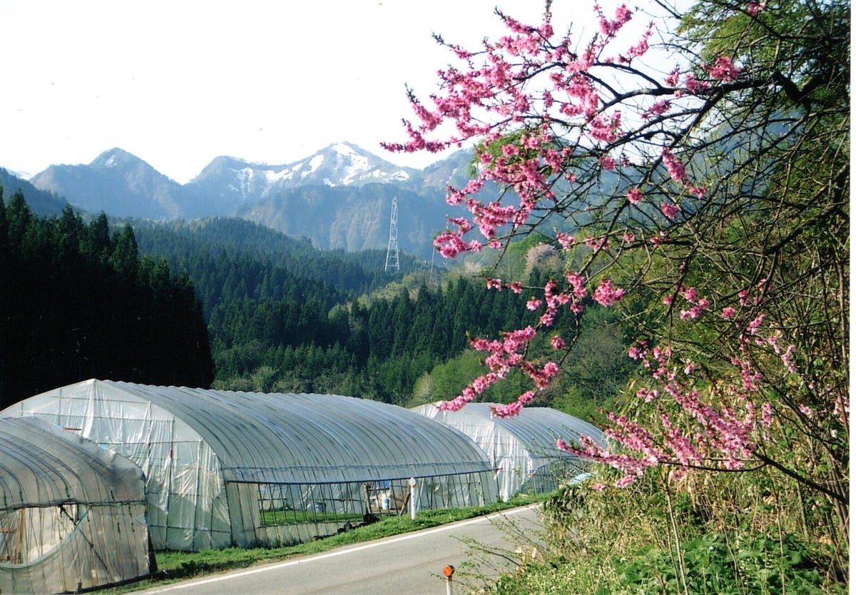 Bridging Heaven and Earth| Chapter 1 | by Patty Kawasaki | Contemplate | Medium