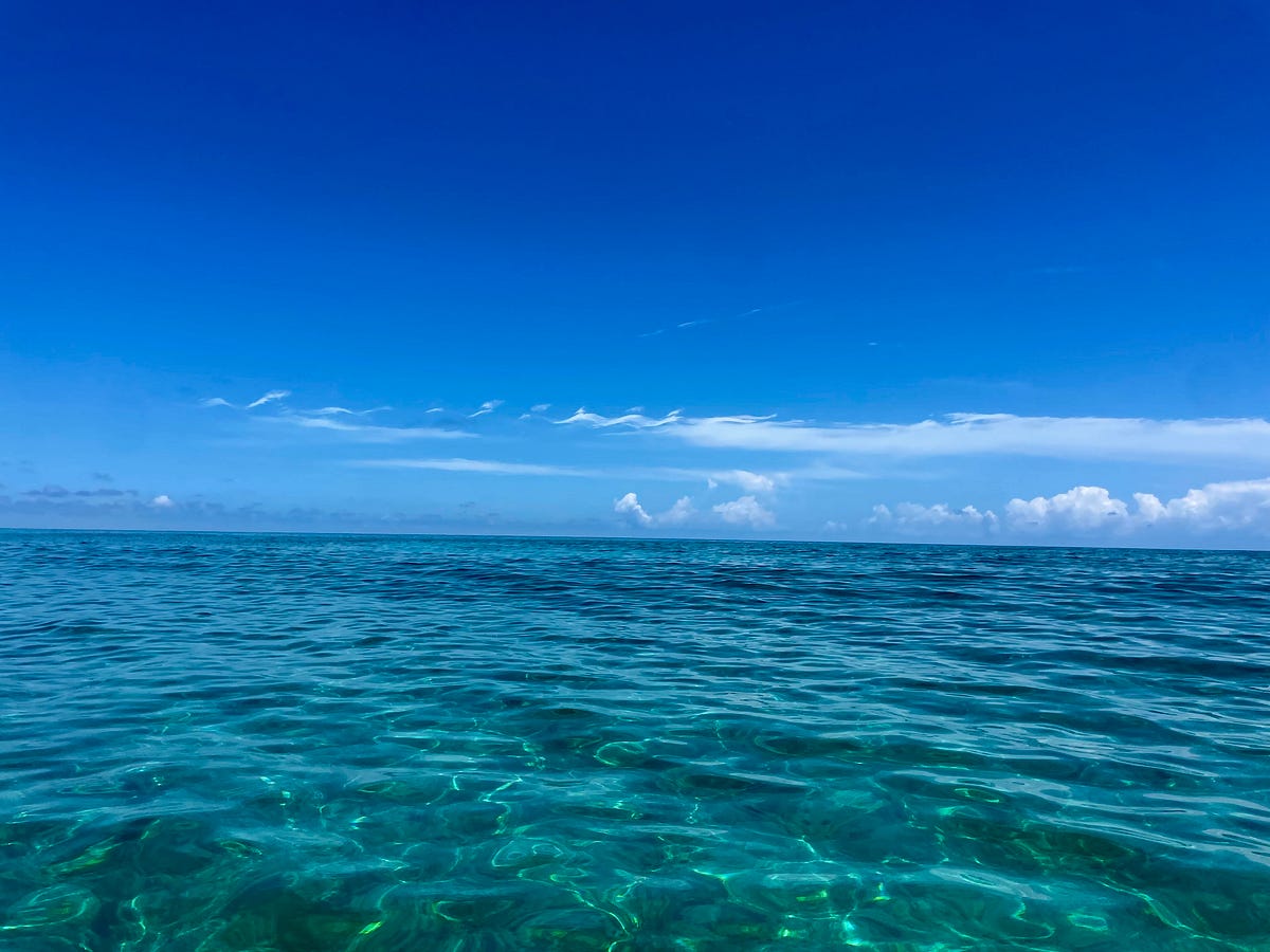 Diving into Python Data Structures | by Cecilia Chimento | Medium