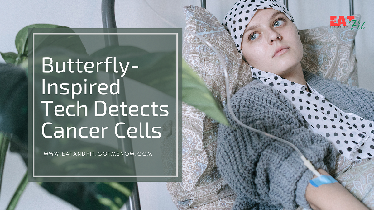 New Butterfly-Inspired Technique Enables Detection of Cancer Cells | by ...