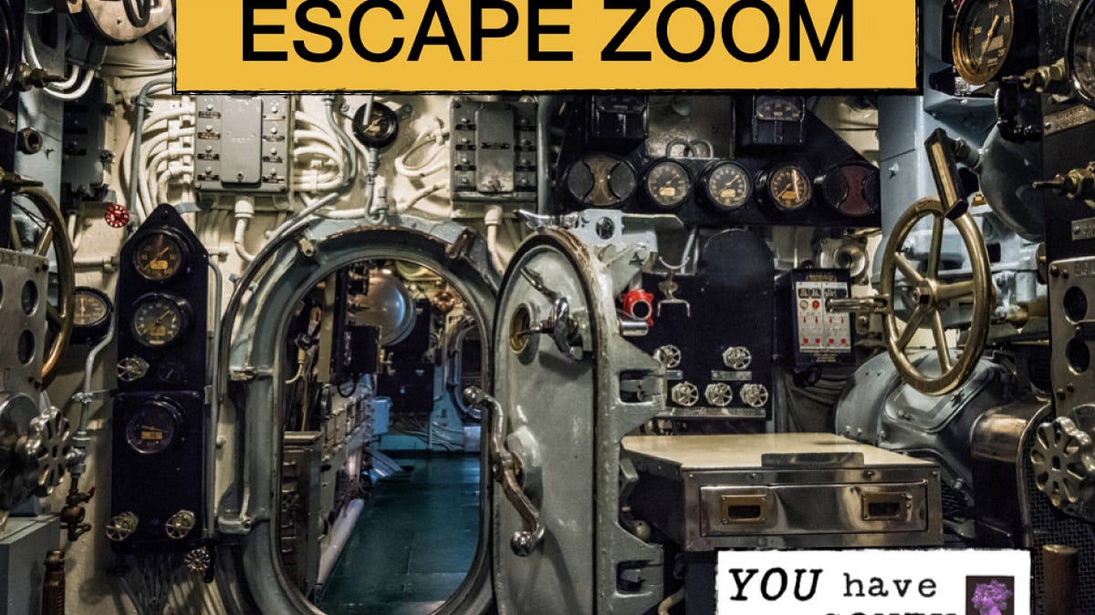 Escape Zoom. A journey into a world of secret… | by NoPro Newswire | No ...