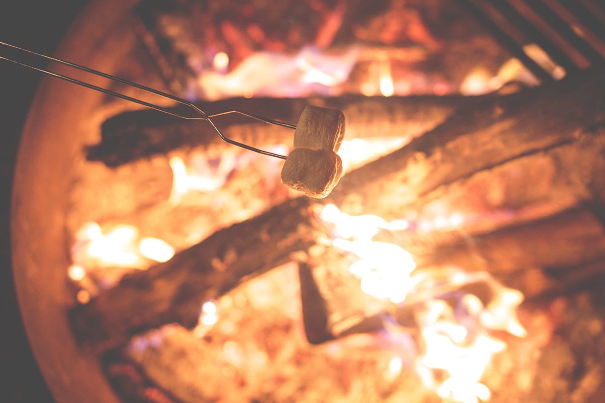 Is not this a brand plucked out of the fire? | by Wendly Saintil | 2019 ...
