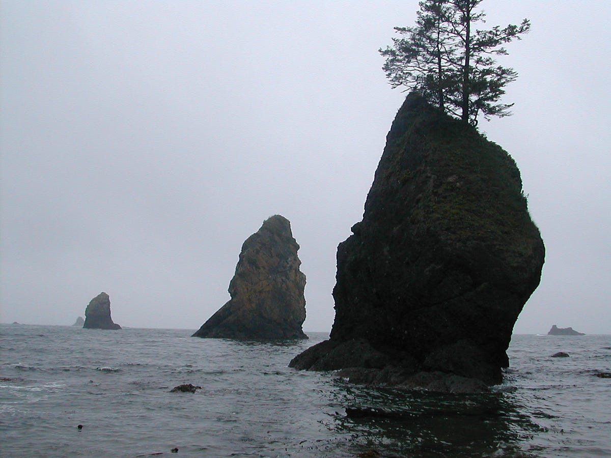 Until I’m Gone. Ancient sadness sleeps in my bones… | by Jeff Suwak ...