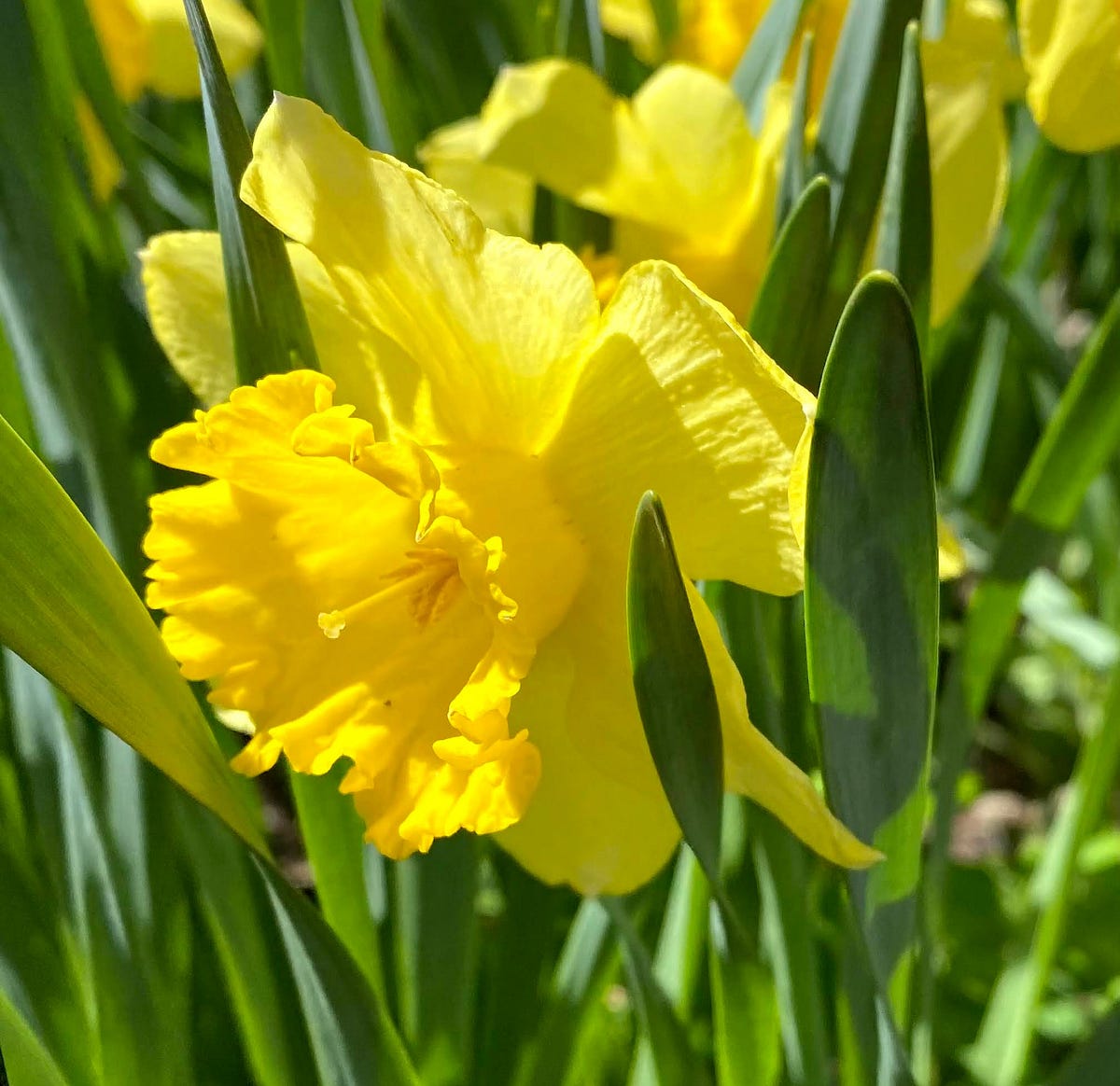 Is it May Already?. Where did April go? | by Barb Dalton | Reciprocal ...