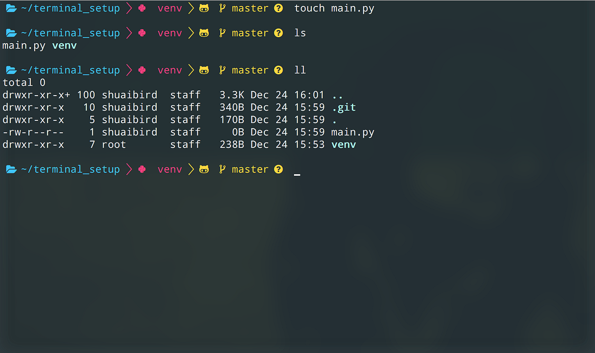 Stunning terminal setup for newbies | by shuaibird | Medium