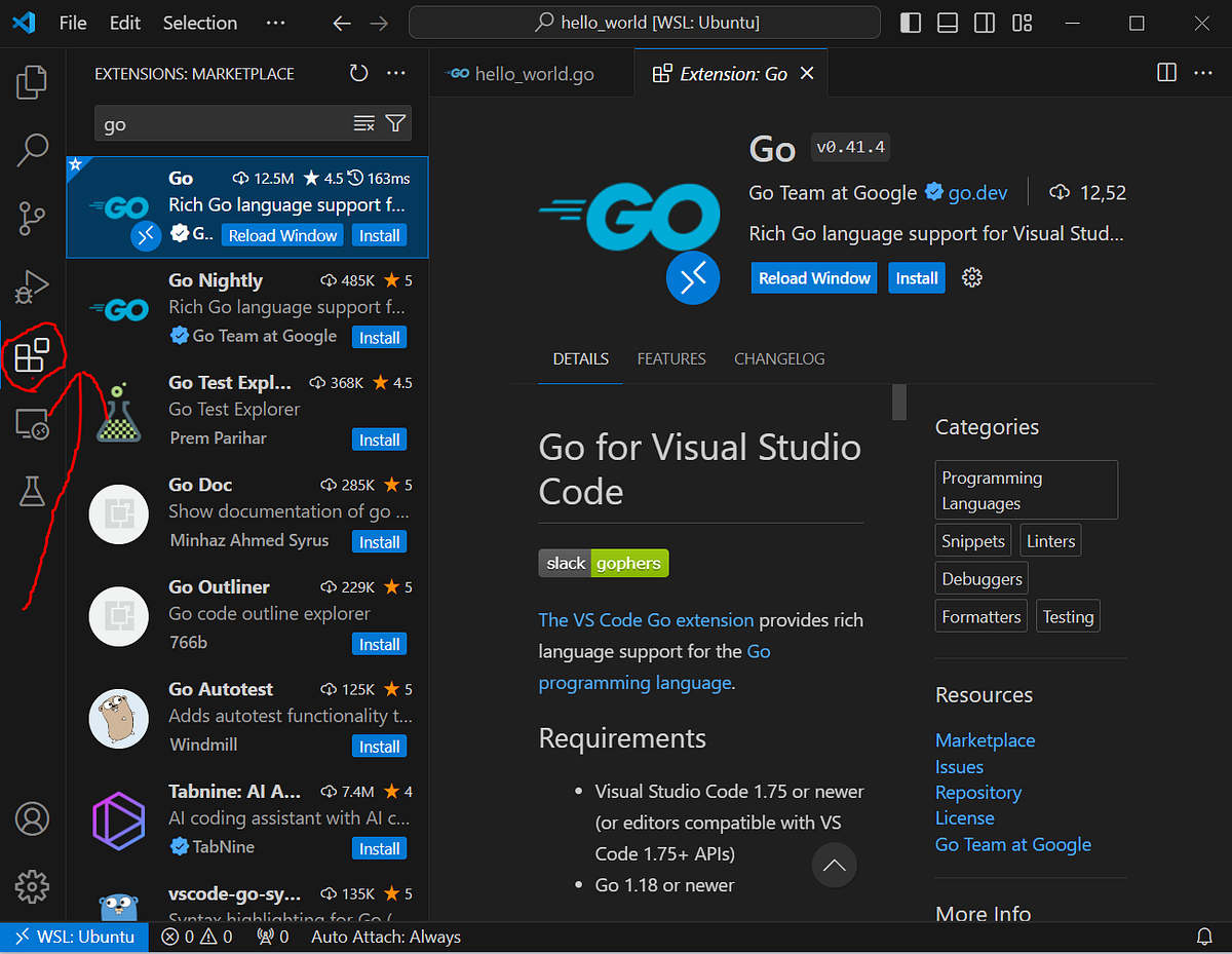 How to Setup Go in Visual Studio Code | by Robert Keith Rippetoe | Medium