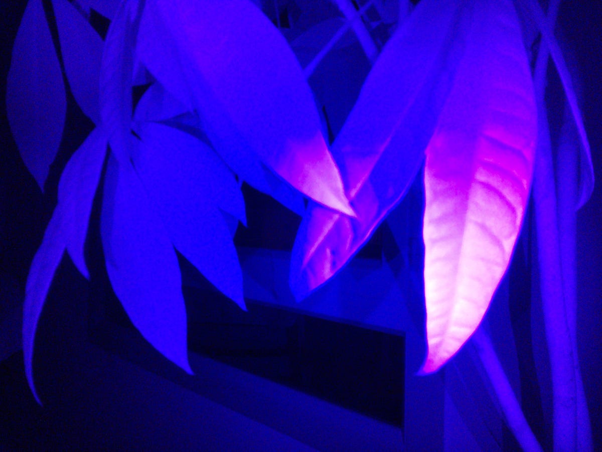 [23] Night vision. Being able to see in the dark is one of… | by ...