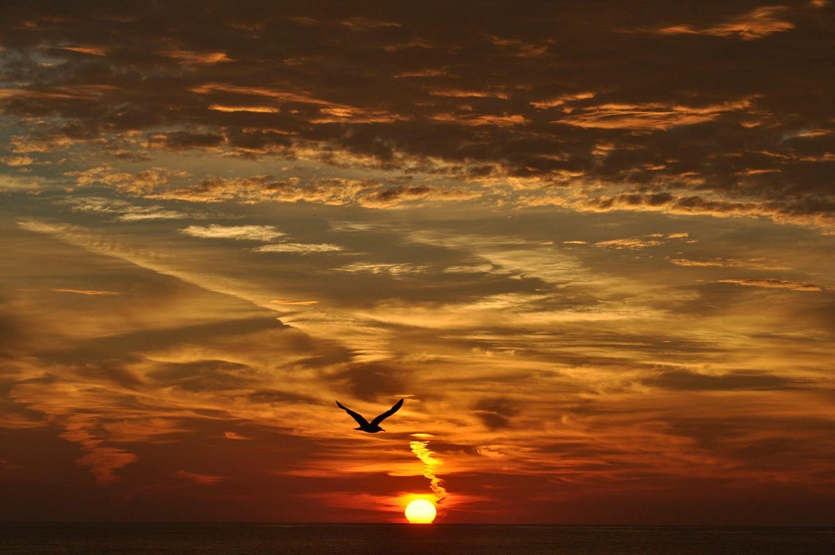 When I Knew. Everyone has that “AHA” moment at one… | by Lilly Drake | Medium