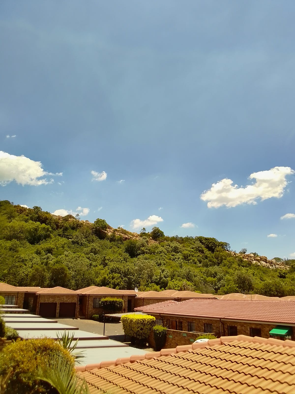 My Bravery Abandoned Me. Our bravery can disappea in a moments… | by Roxanne Holman | Jan, 2025 ...