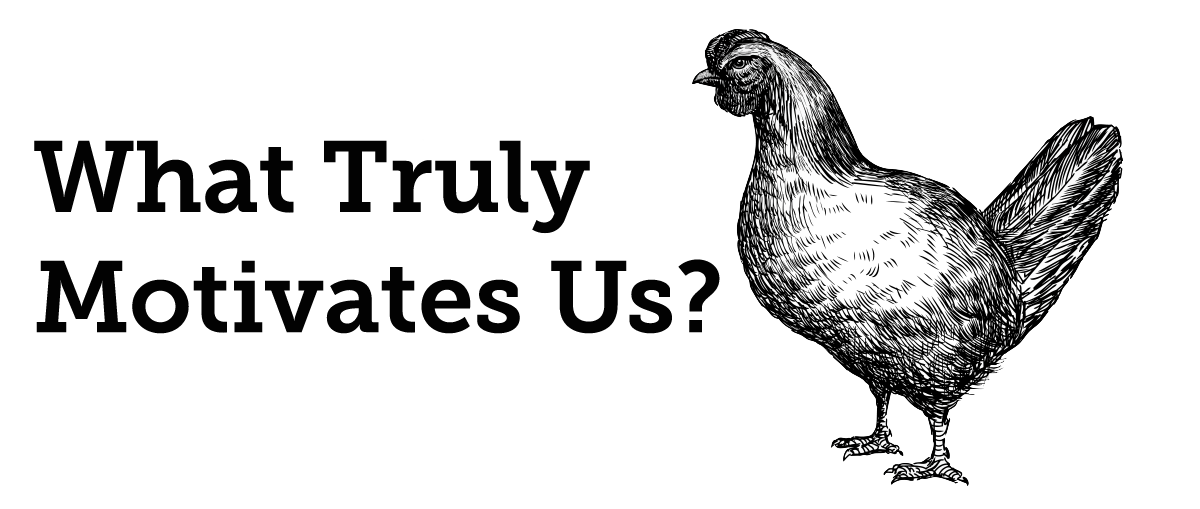 Why did the chicken cross the road? The answer: Motivation. | by Andy Calloway | Medium