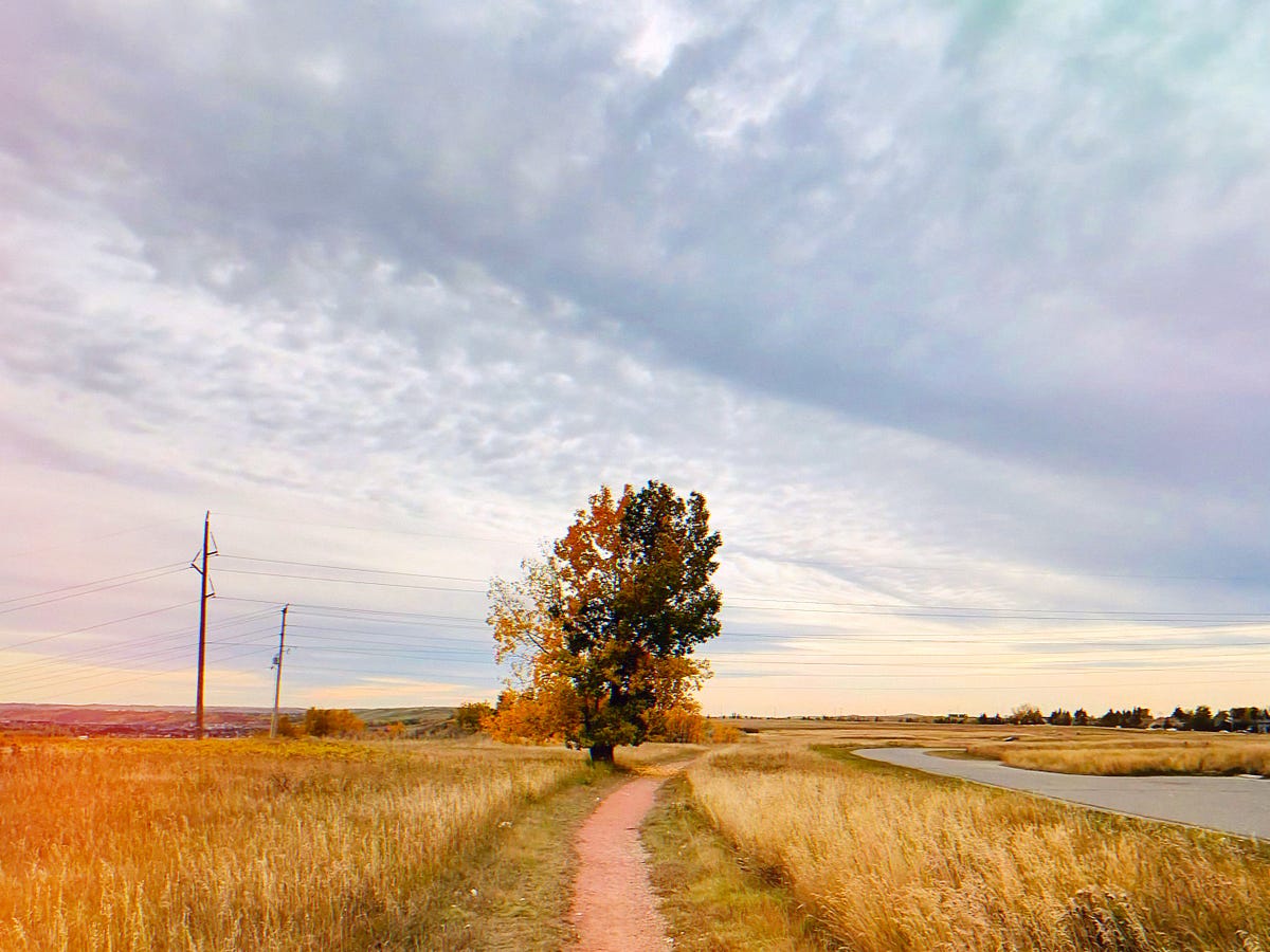 Week 6 Reflection: Way of Giving You a Free Selfie | Medium