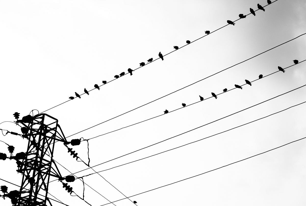 Explaining Ibm Watson Nlp Prediction Outcomes Using Ibm Watson Openscale By Ravi Chamarthy