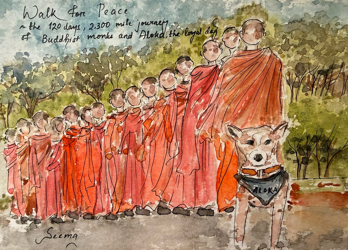 Aloka, the Peace Dog. About a stray dog who became global… | by Dr ...