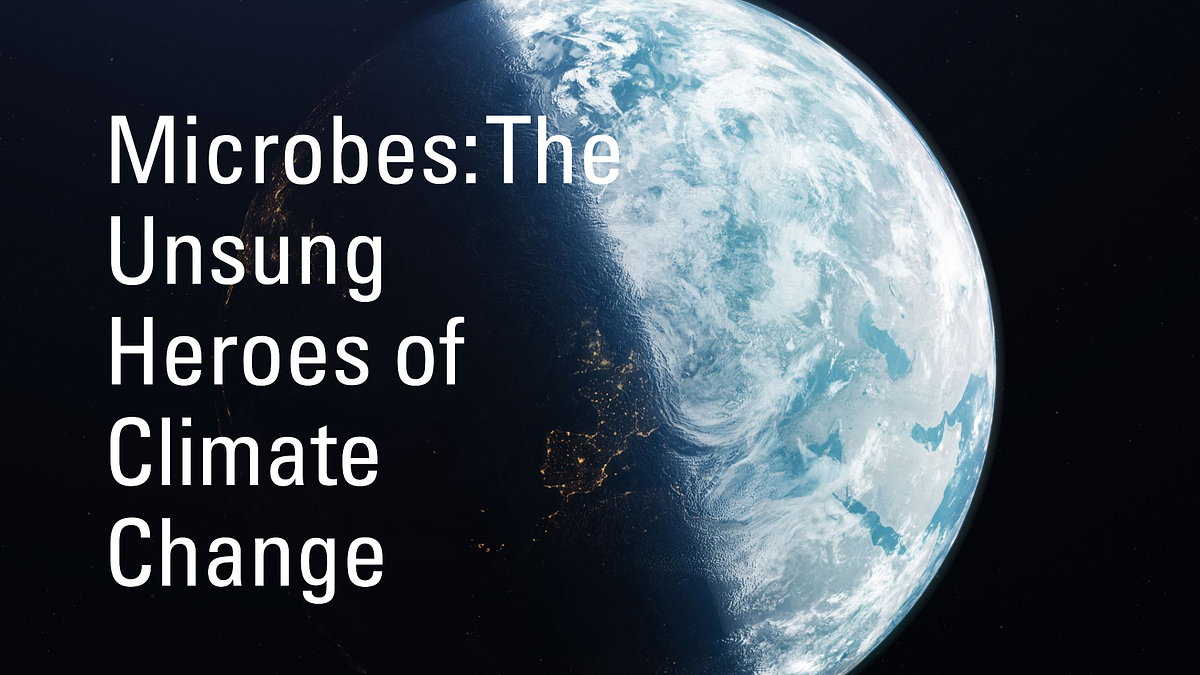 The Role of Microbes in Climate Change: Unsung Heroes of the Earth’s ...