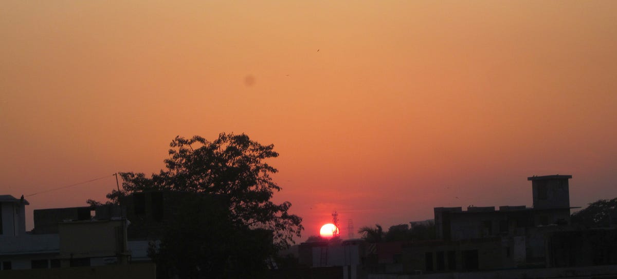 Merry Christmas. The stuffed steaming goose’s jump from… | by Naureen Amjad | Medium