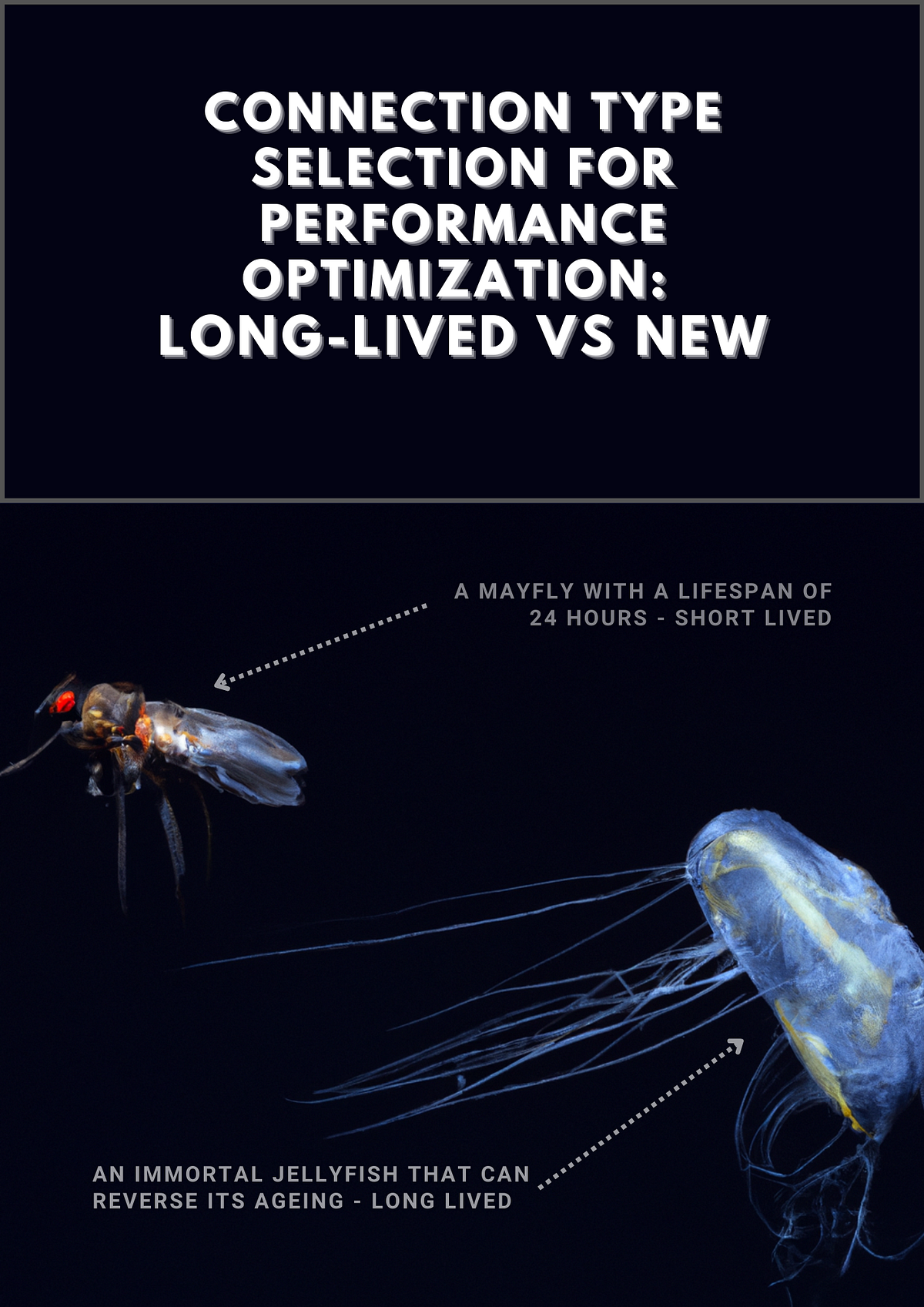 Long-Lived vs New Connection for better performance | Level Up Coding