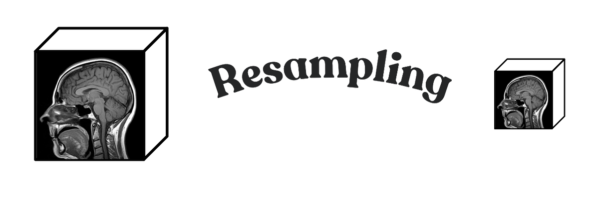 Resampling in Medical Imaging. What do you know about the spacing? | by ...