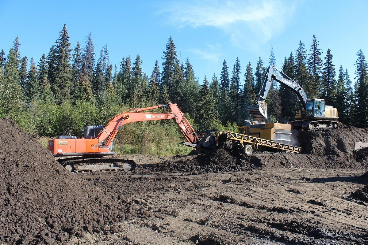 A Deep Dive into Bioremediation: Revolutionizing Environmental ...