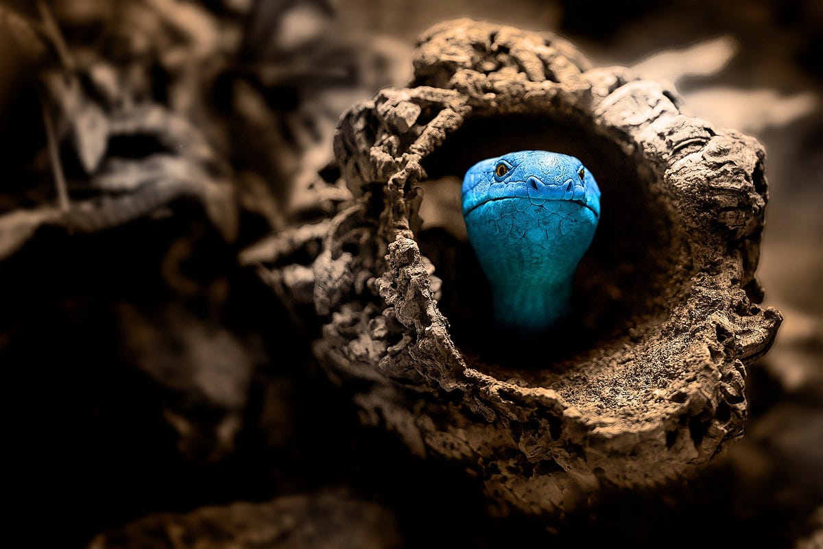 Terraform Private Ec2 With Ssm This Terraform Script Provisions A