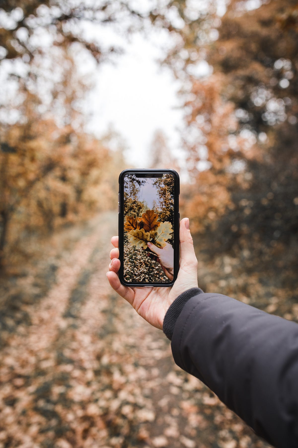 UX / UI Expert For iPhone X In 5 Steps | by Helena Sollie | Medium