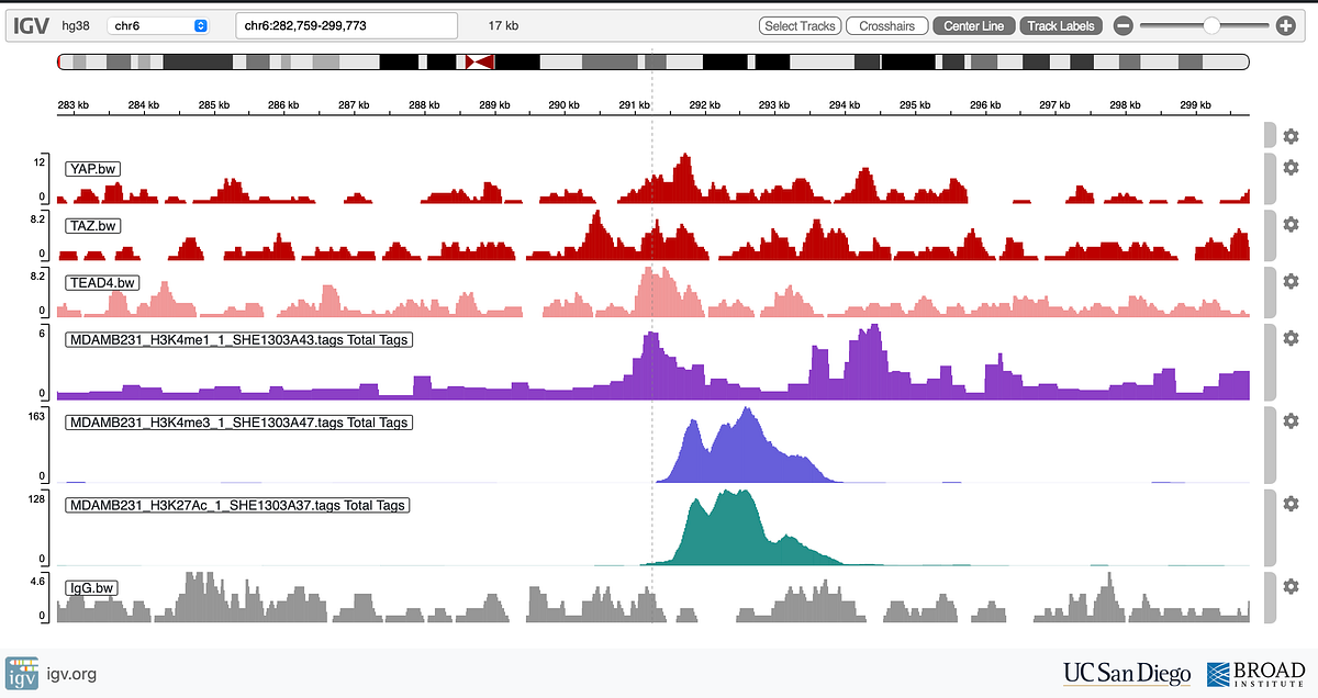 Things I learned while reproducing figures from a published research paper | by Aayush Ojha ...