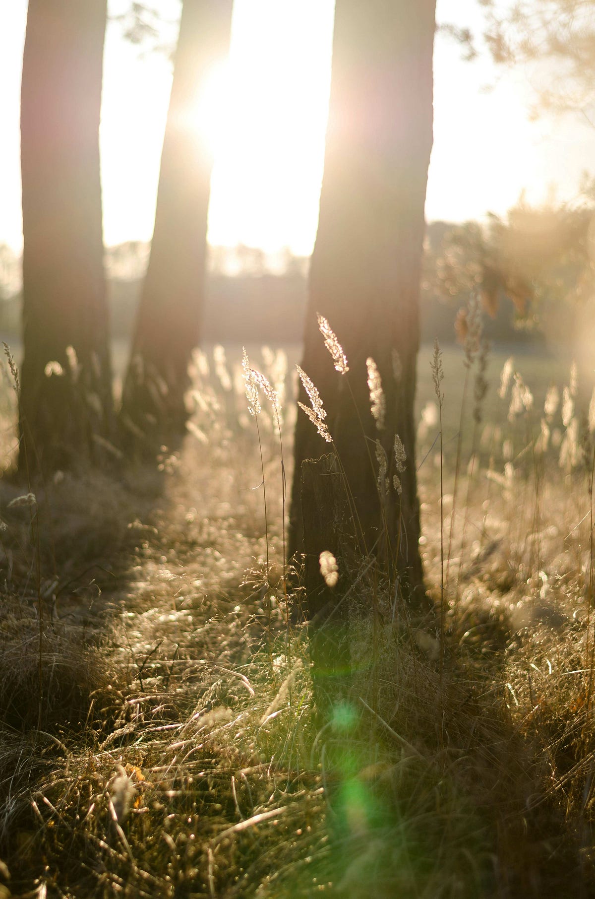 A Quick Distraction Helped Me Get Out Of My Anxiety | by Rebecca Leong ...