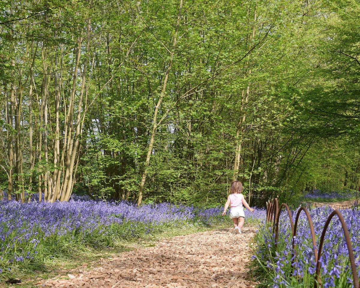 Five things to do around Ashford this weekend | by Mama Toddler Squad ...