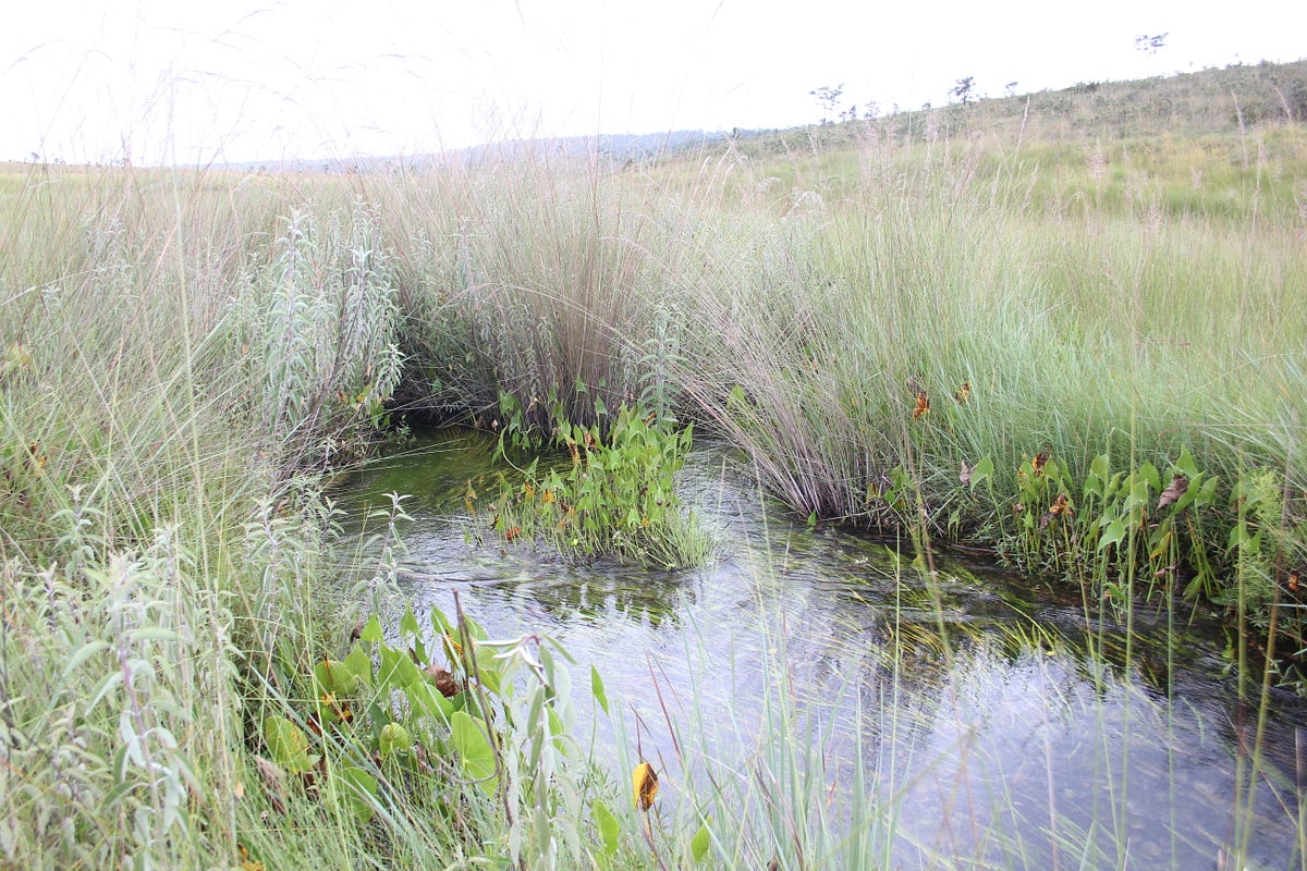 A wet day in Angola | by Into the Okavango | Medium