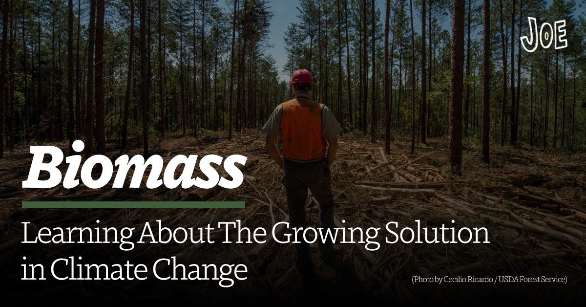 Biomass: A Small But Important Piece Of The Climate Solution Puzzle ...