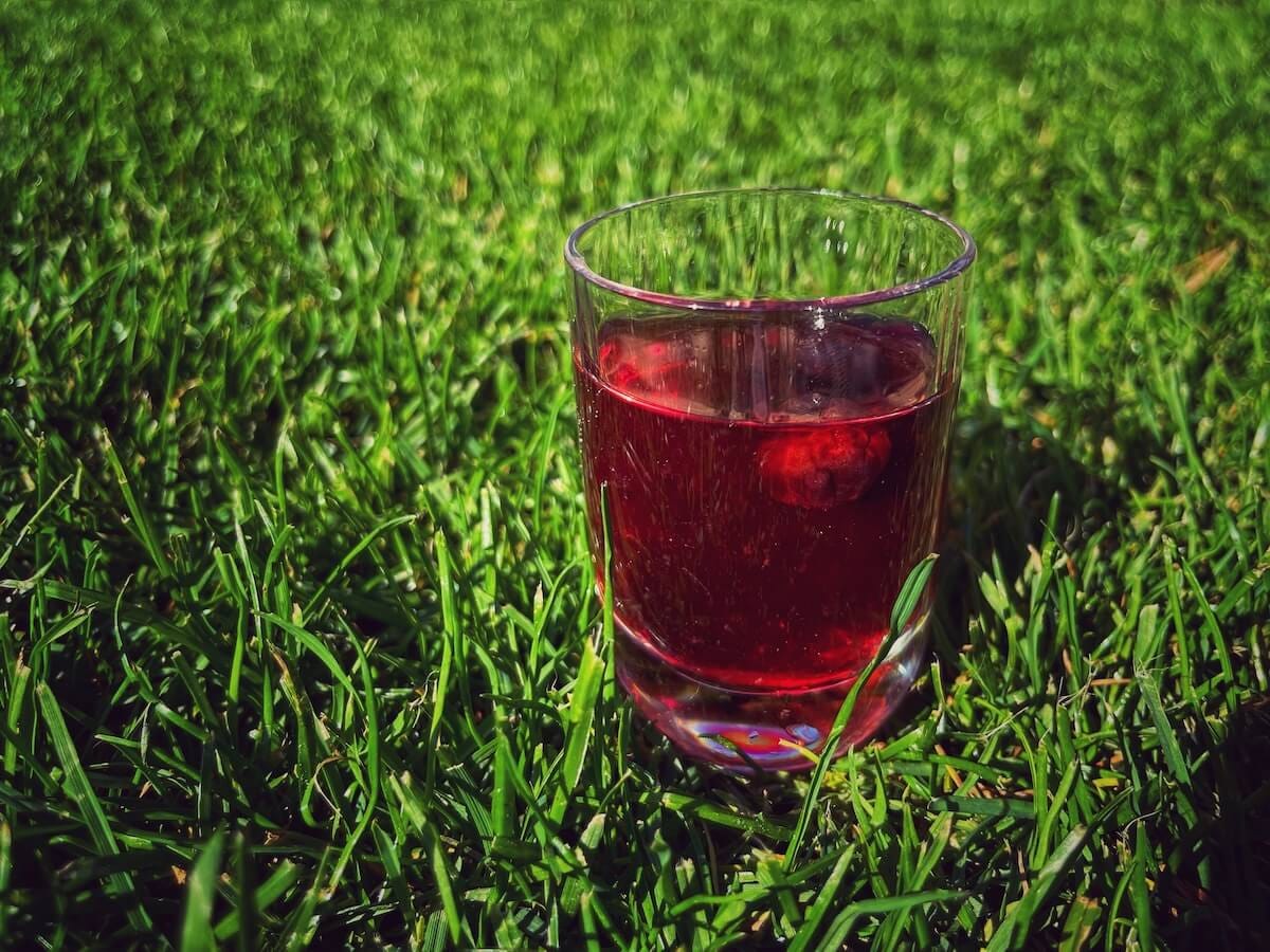 Traditional German Rum Pot: an ode to past and future summers | by sown ...