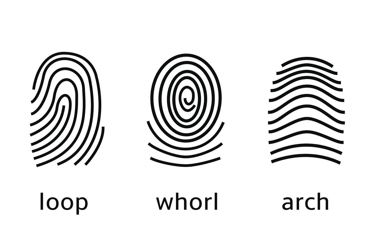 Fingerprint Authentication System using Deep Learning and Minutiae Verification | by JHANVI SHAH ...