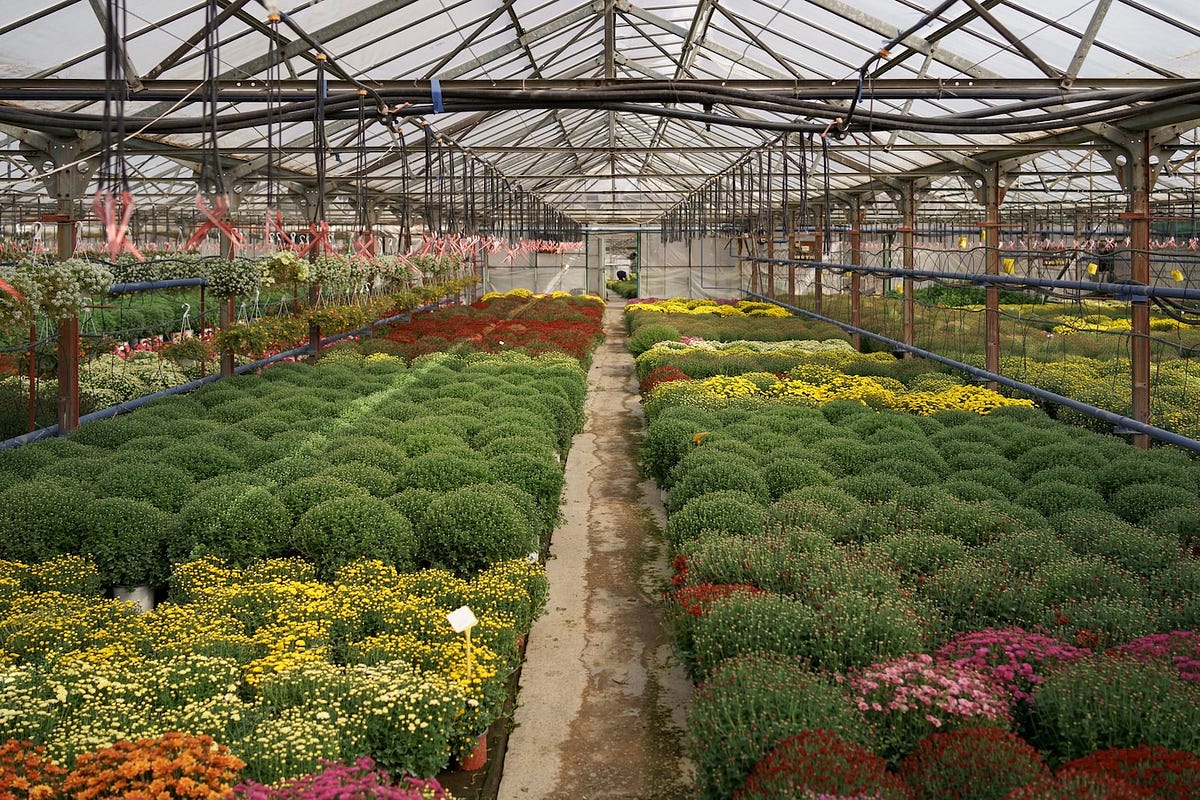 Nursery And Floriculture Production Market Competitive Landscape 2024 ...