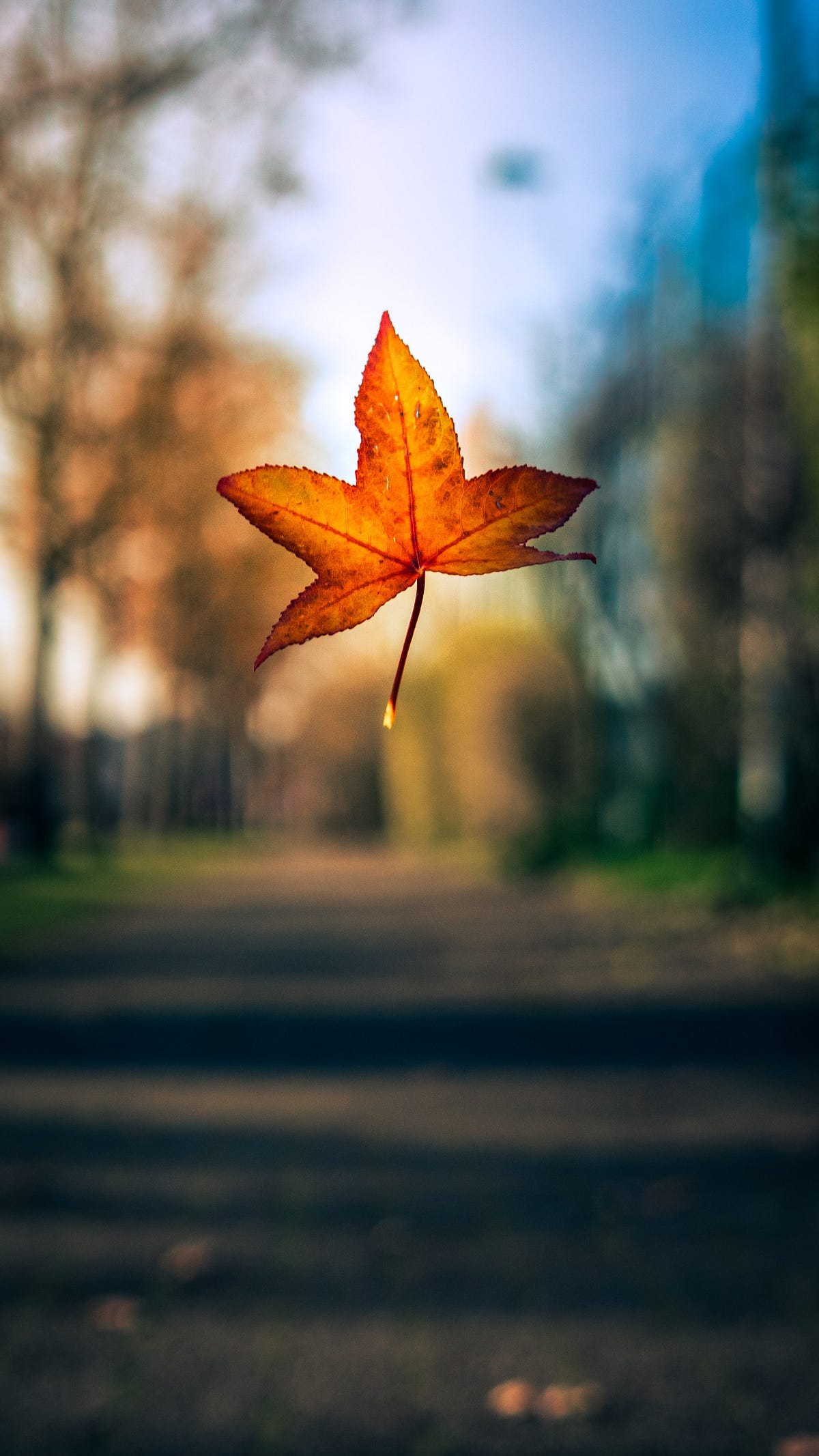 Falling Backward | When you're falling there's little time to react ...